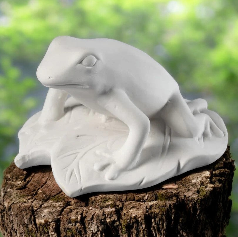 Tropical Rainforest Tree Frog Ceramic Bisque – River Craft Ceramics