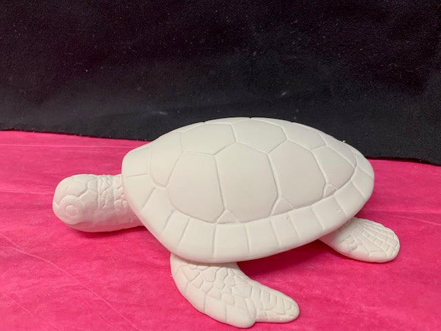 Sea Turtle Box – River Craft Ceramics