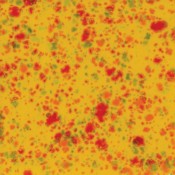 Mayco CG-753 Sassy Orange Jungle Gems Glaze – River Craft Ceramics